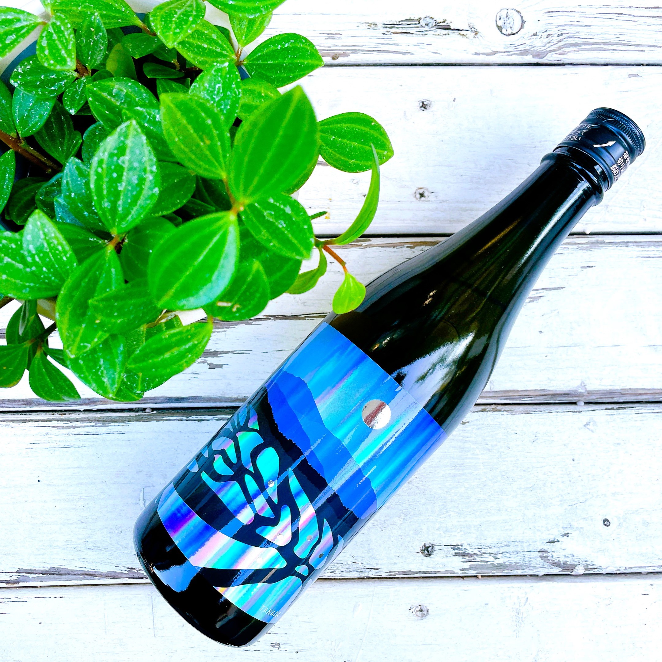 【長野】棚田 純米大吟醸720ml｜VINSY