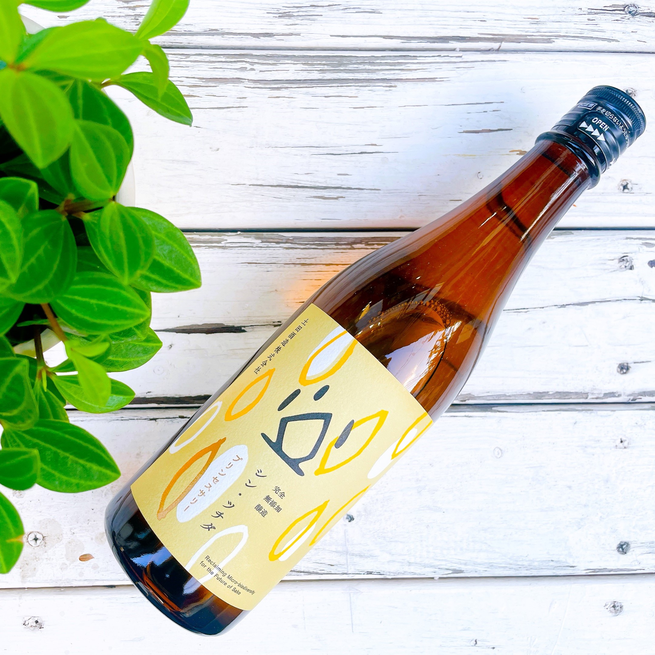 【群馬】シン・ツチダ プリンセスサリー_720ml｜VINSY