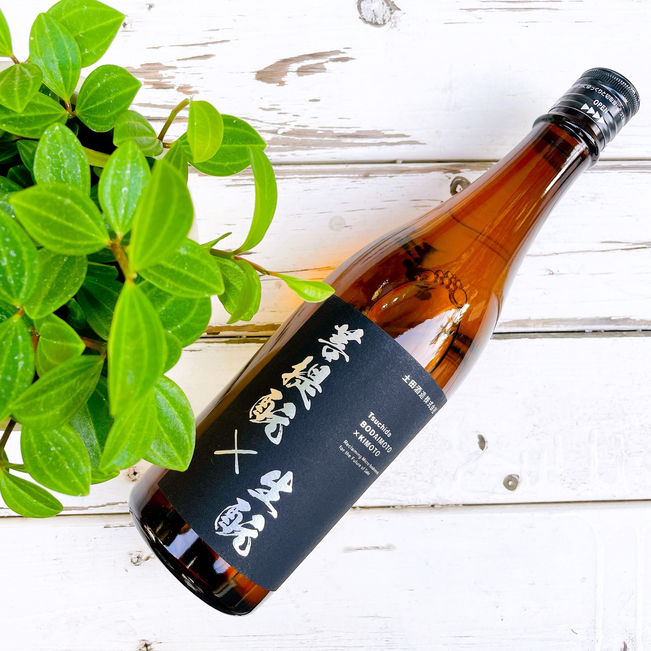 【群馬】菩提酛×生もと_720ml｜VINSY