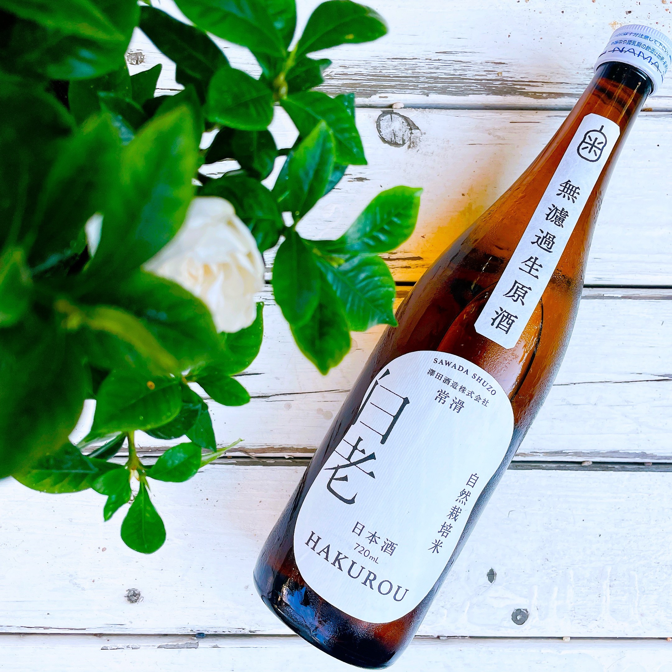 【愛知】 白老 自然栽培米の酒 無濾過生原酒720ml｜VINSY