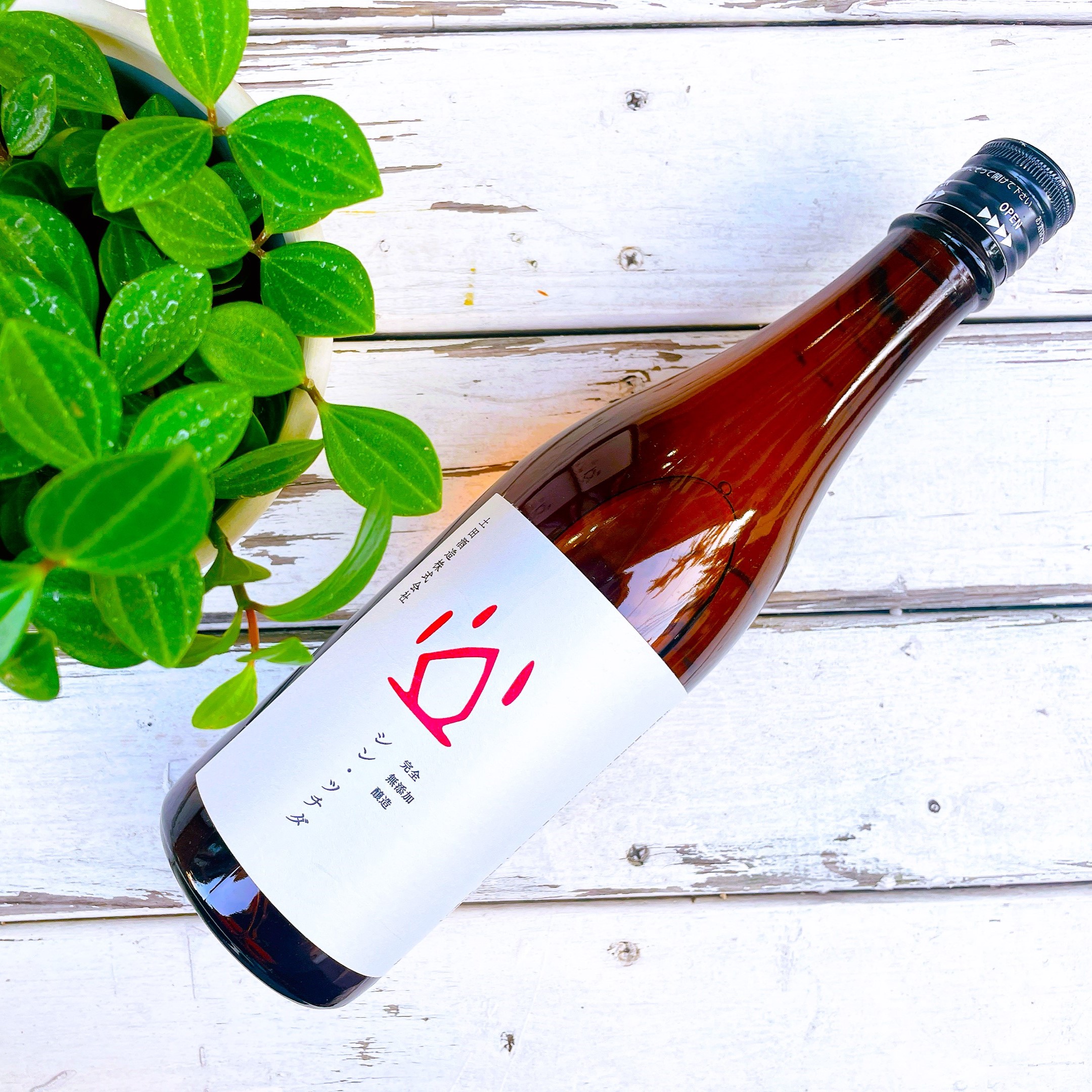 【群馬】シン・ツチダ_720ml｜VINSY