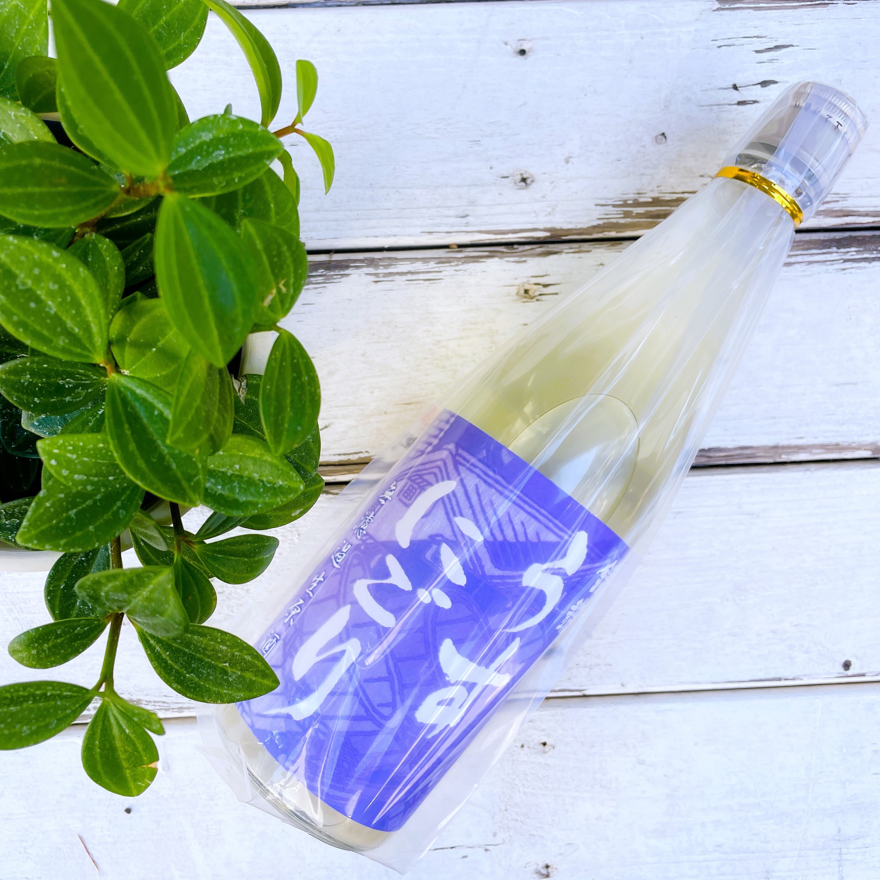 【奈良】金鼓 純米生原酒 うすにごり_720ml｜VINSY