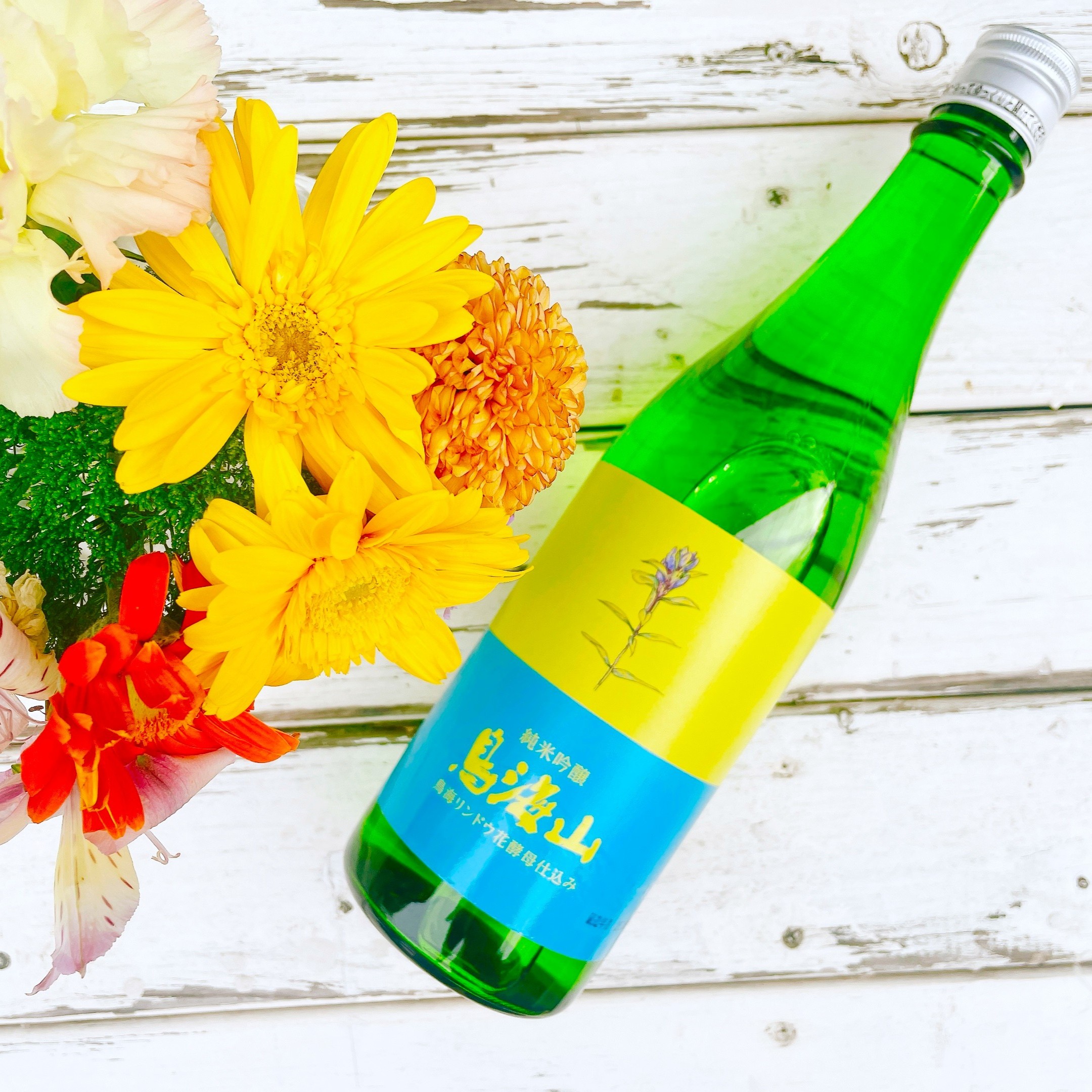 【秋田】鳥海山 生もと純米 鳥海リンドウ酵母仕込み_720ml｜VINSY